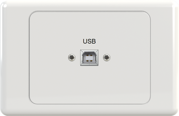 USB Wall Plate - Alectro Pty Ltd
